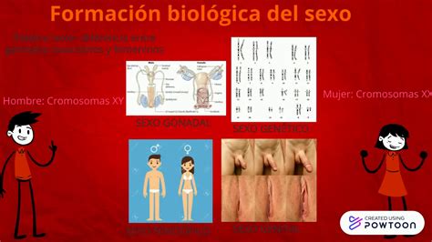 Sexualidad Humana Introducción Youtube