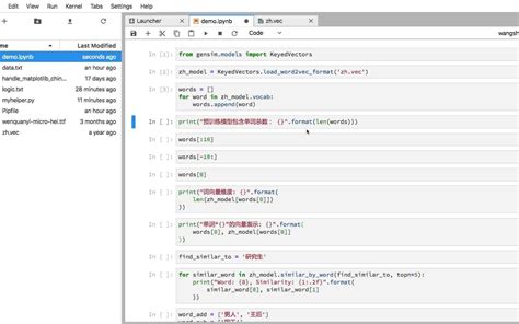 demo python gensim fasttext word embedding 哔哩哔哩 bilibili