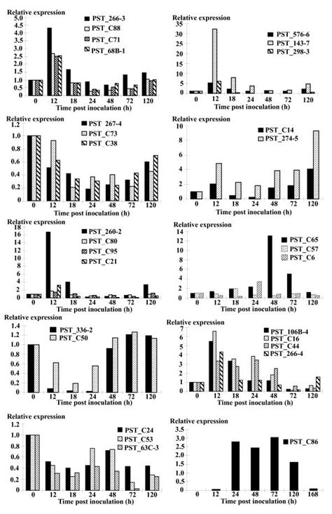 Quantitative Real Time Pcr Qrt Pcr Analyses Of 29 Selected Genes