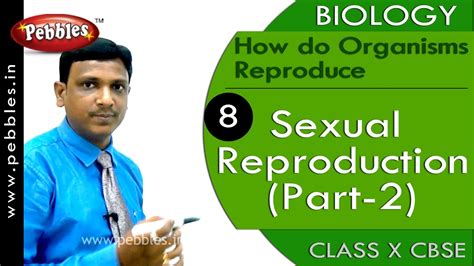 Sexual Reproduction 2 How Do Organisms Reproduce Biology Cbse Class