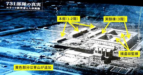 731部隊総集編 青山貞一・池田こみち監修