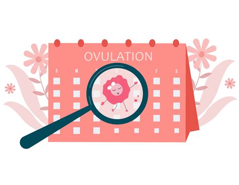 Ilustración Del Concepto De Ovulación Fertilidad Femenina Embarazarse