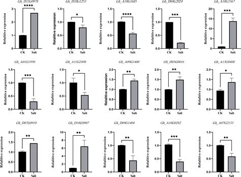 Frontiers Transcriptome Proteome And Functional Characterization