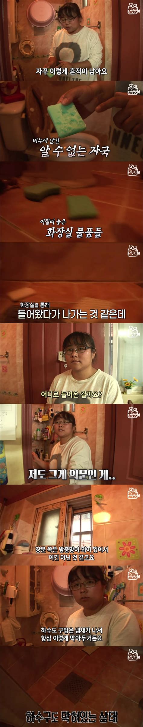 밤마다 화장실에서 이상한 소리가 나서 Cctv를 설치해봤는데 에누리 쇼핑지식 자유게시판