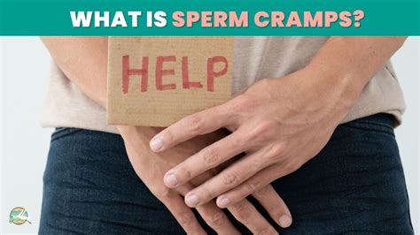 Sperm Cramps Everything You Need To Know 2023 Ivfix