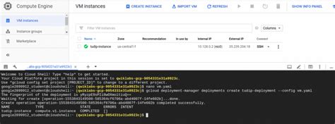 what is deployment manager tudip