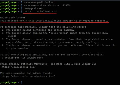 set up linux ddev environments for wordpress and drupal