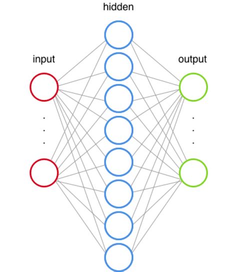 understanding a neural network