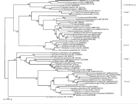 Figure 1 From Molecular Analysis Of The Diversity Of The Sulfide