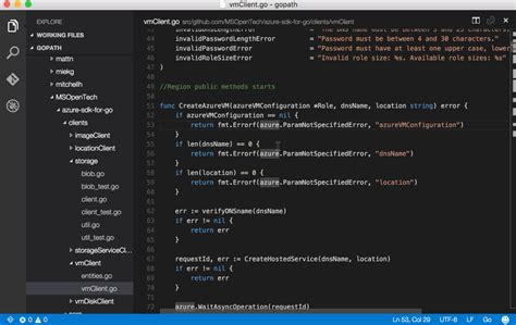 a topnotch golang development company