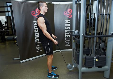 Standing Biceps Cable Curl Musqle