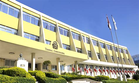 Tc Conoce Diez Expedientes De Acción De Inconstitucionalidad