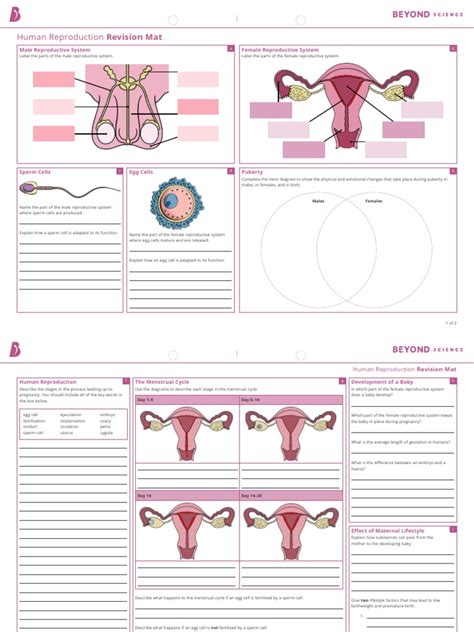 Human Reproduction Revision Mat Higher Pdf Human Reproduction
