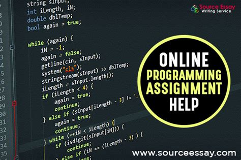 online programming assignment help by assignment writer