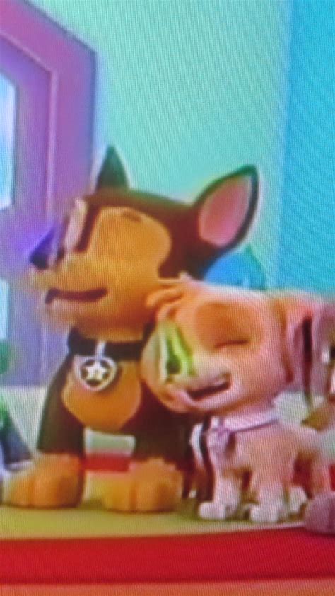 Skye X Chase Paw Patrol Animated Couples Photo 40131024 Fanpop