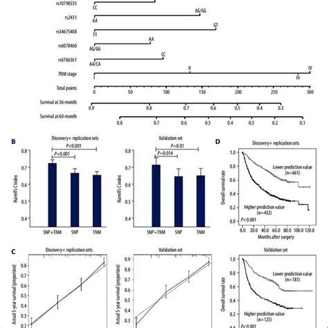 Prognostic Value Of The Nomogram Survival Prediction Model A Genetic