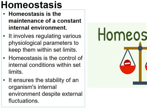 Igcse Biology Coordinated Homeostasis Extended Teaching Resources