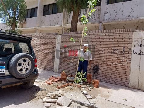 انطلاق حملات التشجير ضمن مبادرة «اتحضر للأخضر بأسيوط