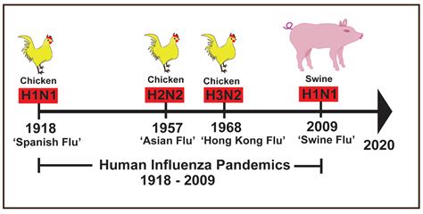 Pathogens Free Full Text A Systematic Review Analyzing The