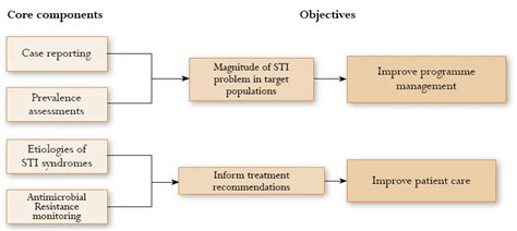 world health organization global health sector strategy on sexually