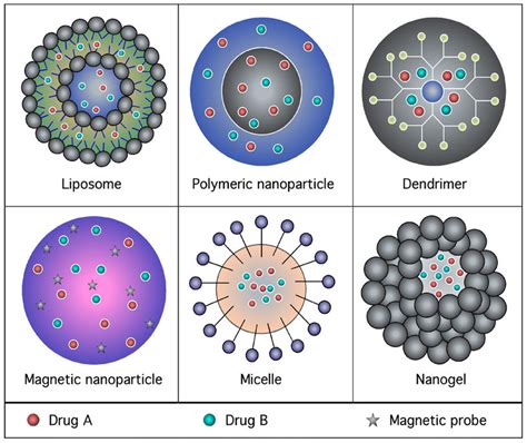 Schematic Diagram Representing The Various Types Of Nanoparticle Use To