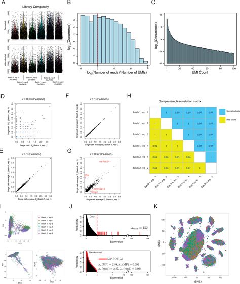 Comprehensive Classification Of Retinal Bipolar Neurons By Single Cell