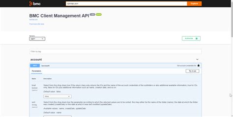reviewing and testing rest web apis documentation for bmc client