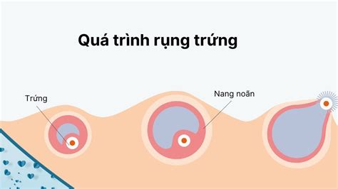 Cách Xác định Dấu Hiệu Uống Thuốc Tránh Thai Khẩn Cấp Thành Công đúng