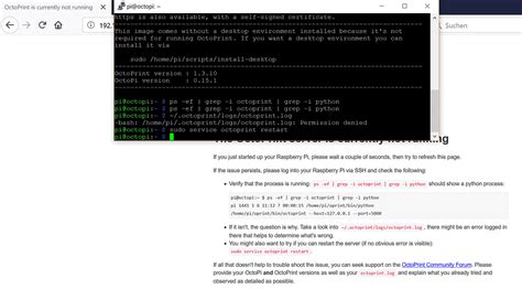 no connection to octopi server get help octoprint community forum