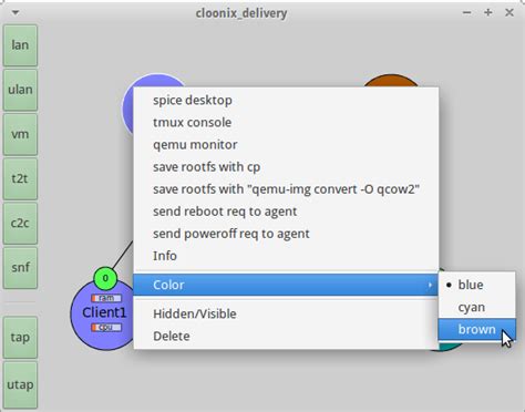 how to simulate an ipv6 network using the cloonix network