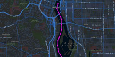 densify and generalize arcgis maps sdk for java arcgis developers