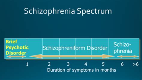 Schizophrenia And Other Psychotic Disorders Incomplete Flashcards