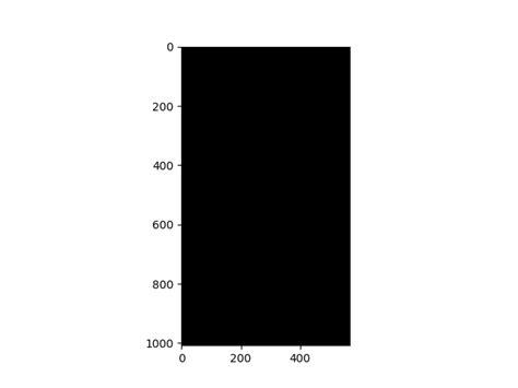 python bird s eye view transformation on a given image