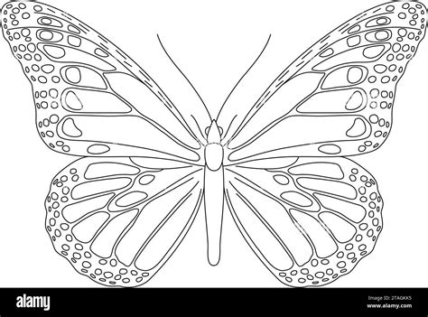 Butterfly With Wings Insect From Black Contour Curves Lines On White