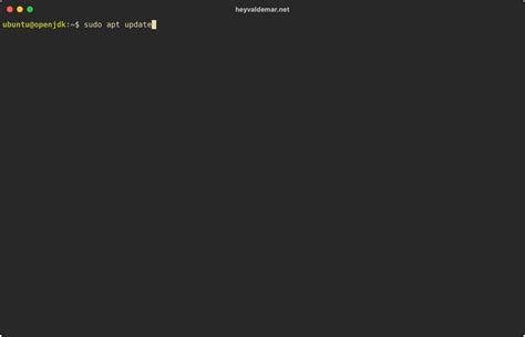 install openjdk on ubuntu server it from valdemar