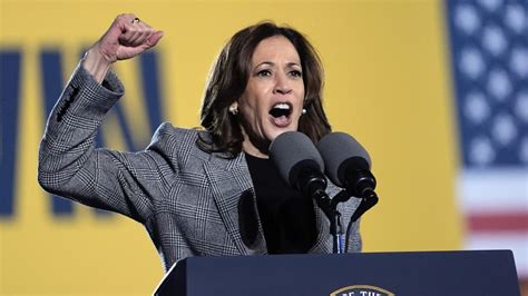 Harris Trump Showdown Margin Of Error Presidential Race With One Week