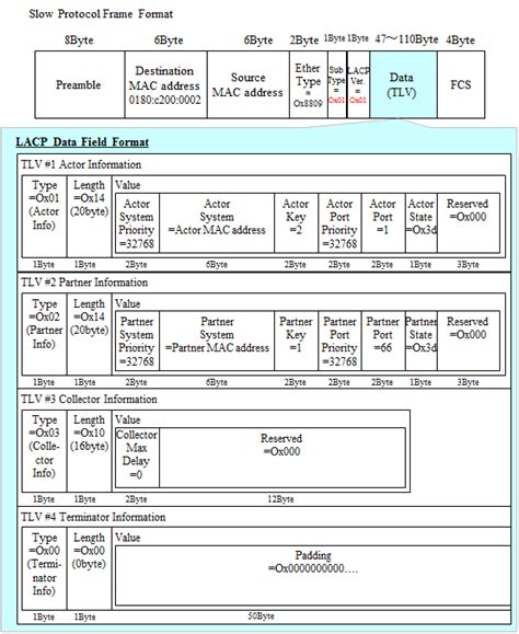lacp protocol frame format