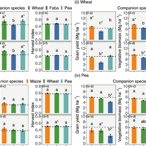 Six Intercrops On June 15 2019 A Maize Wheat B Maize Faba Bean C