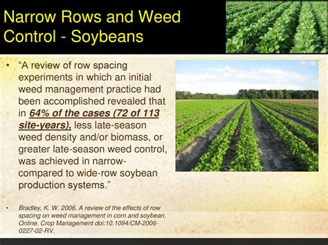 2015 Soybean Weed Control Update Ppt Download