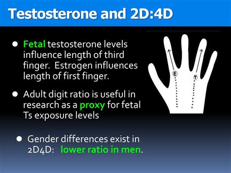 Physiological Perspective Ppt Download