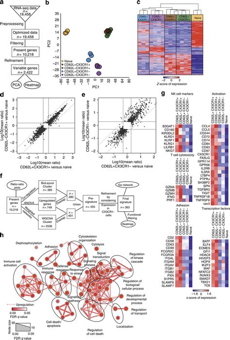 Transcriptome Analysis Reveals A Core Signature Of Human Download