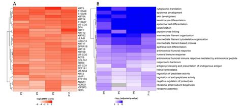 Biomolecules Free Full Text Spin Ai A Deep Learning Model That