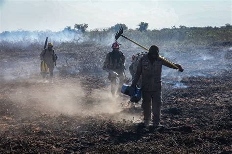 Incêndios No Pantanal E Na Amazônia Geram As Maiores Emissões Em 22