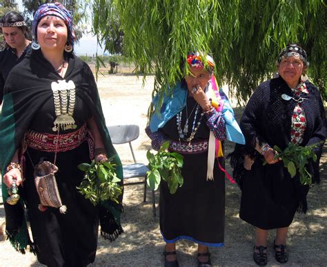Mapuche Historia Origen Características Y Mucho Más