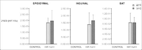 Gene Expression In Adipose Tissues Of Hif 1α And Control Littermates