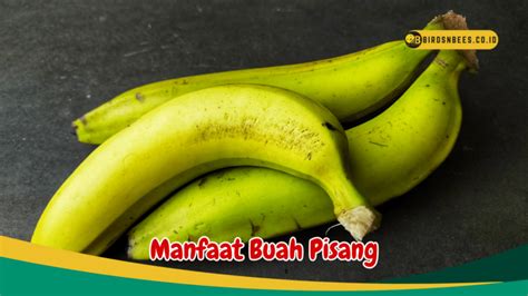 Ketahui 6 Manfaat Buah Pisang Untuk Kesehatan Bantu Memperlancar