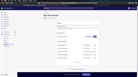 how to build a shopify store how to add a custom domain