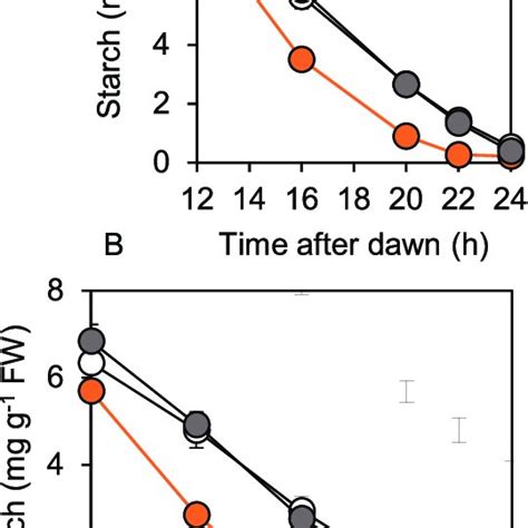 Patterns Of Starch Degradation In Wild Type Bam1 1 And Bam1 2d