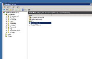 visualsvn server svn deleting a file sln and file suo