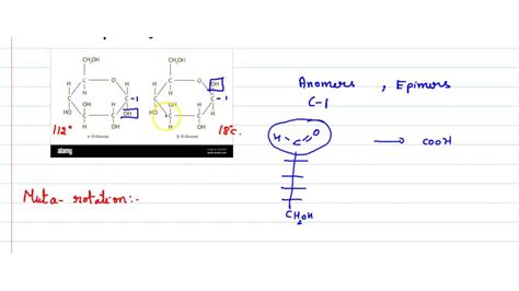 Solved Match The Following Column I A α D Glucose And β D Glucose